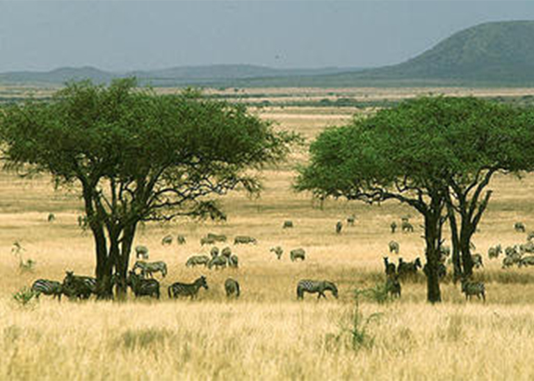 Ecology: Climate and Vegetation | Center for Latin American and ...